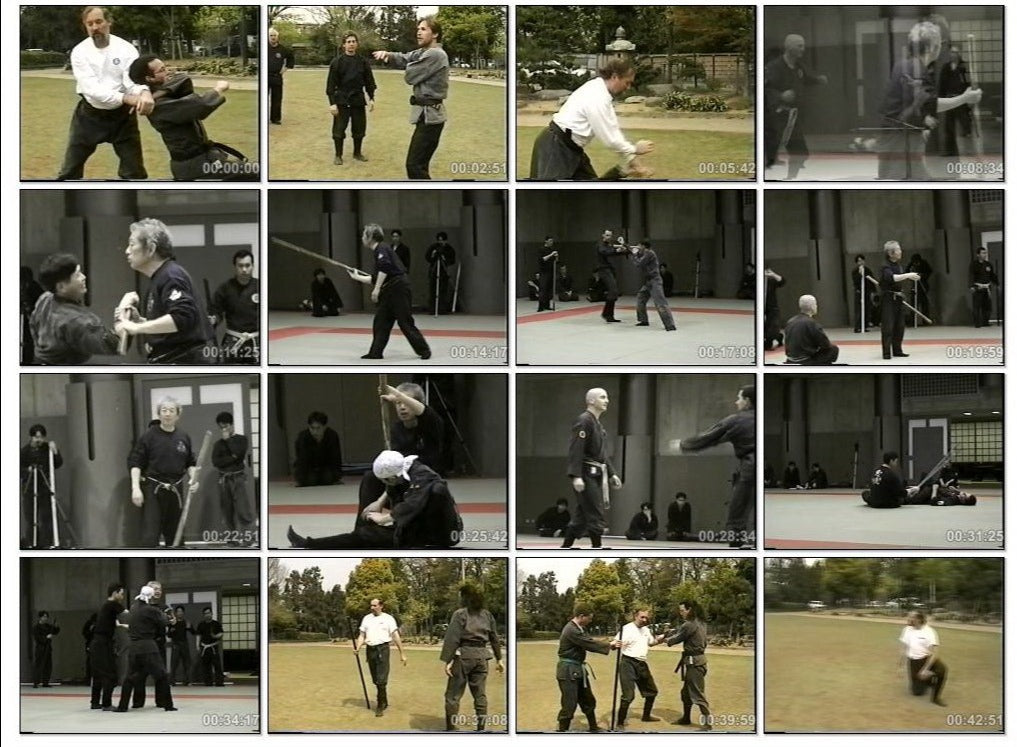 Bujinkan Taka-Seigi Dojo - Japan 1997 Training – Divine Warrior Ninjutsu